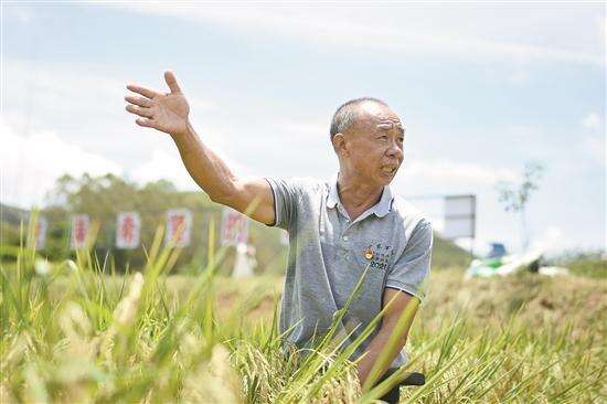 退役不褪色，看他们勇当乡村振兴排头兵